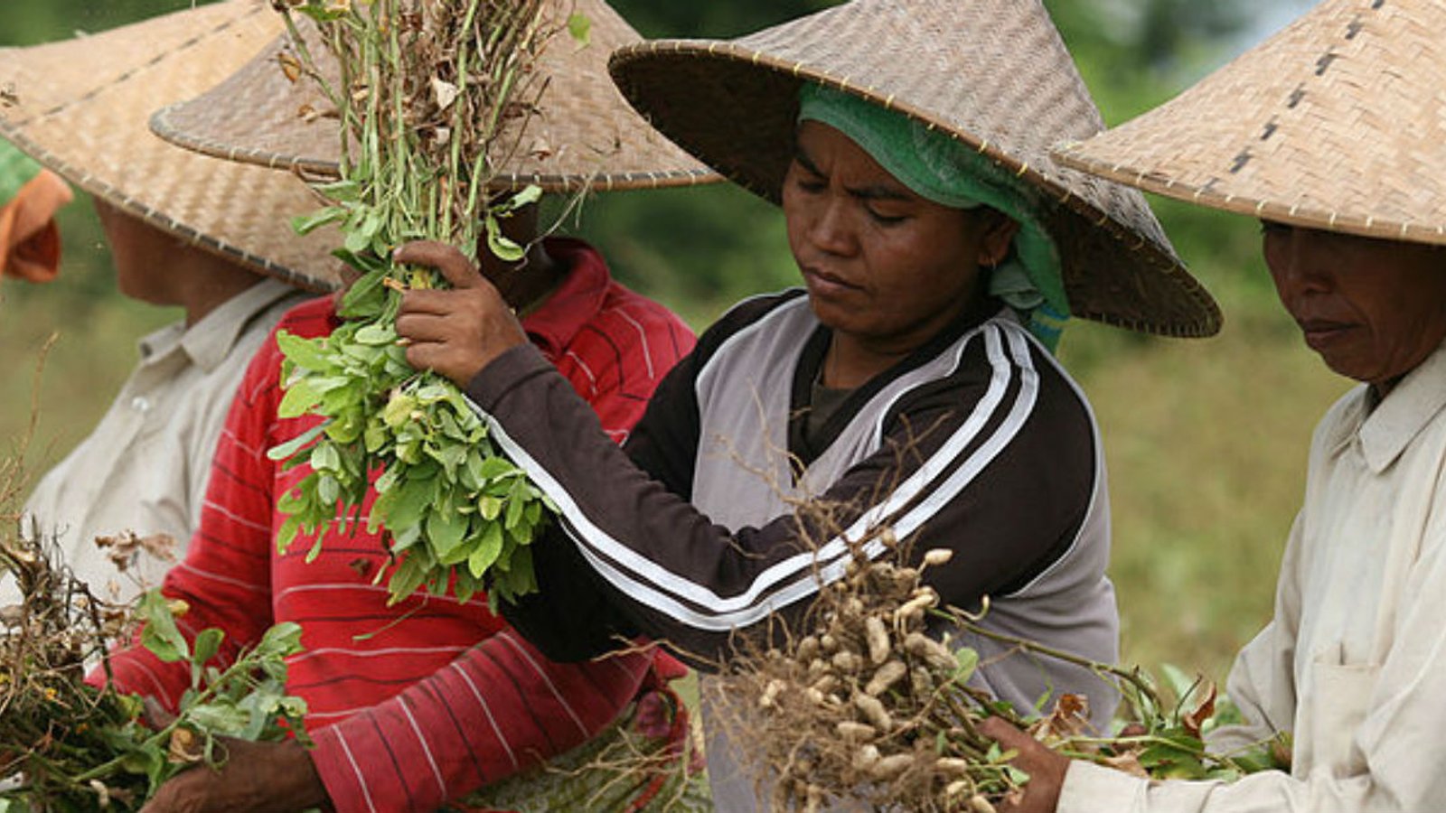 The Right Way To Talk About World Hunger