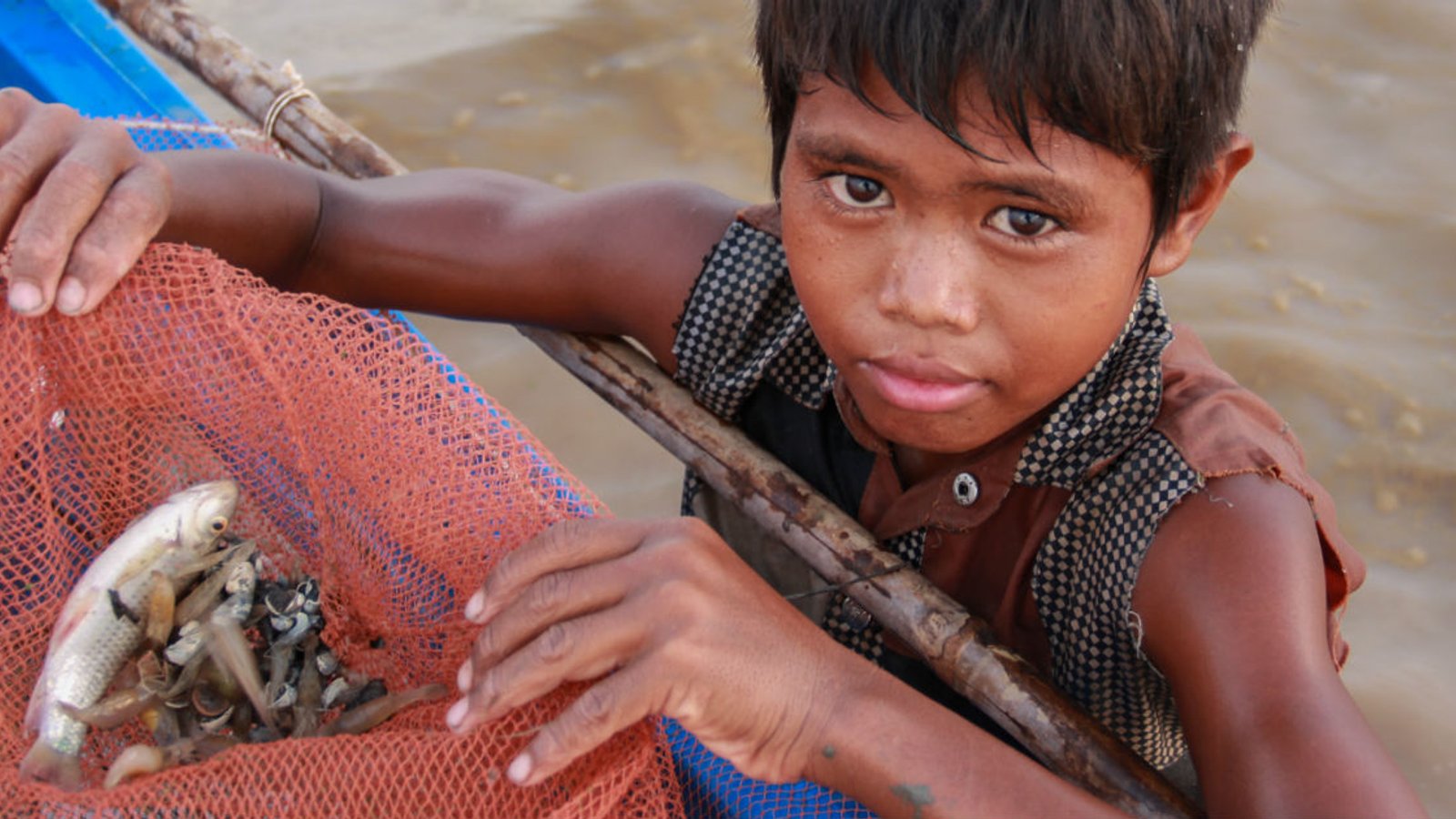 The faces of child labour