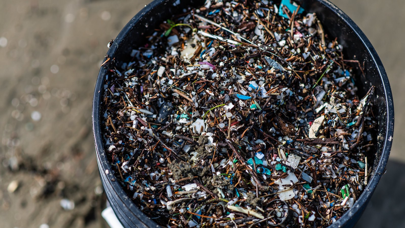 Scientists Discover High Concentration of Microplastic on Ocean Floor