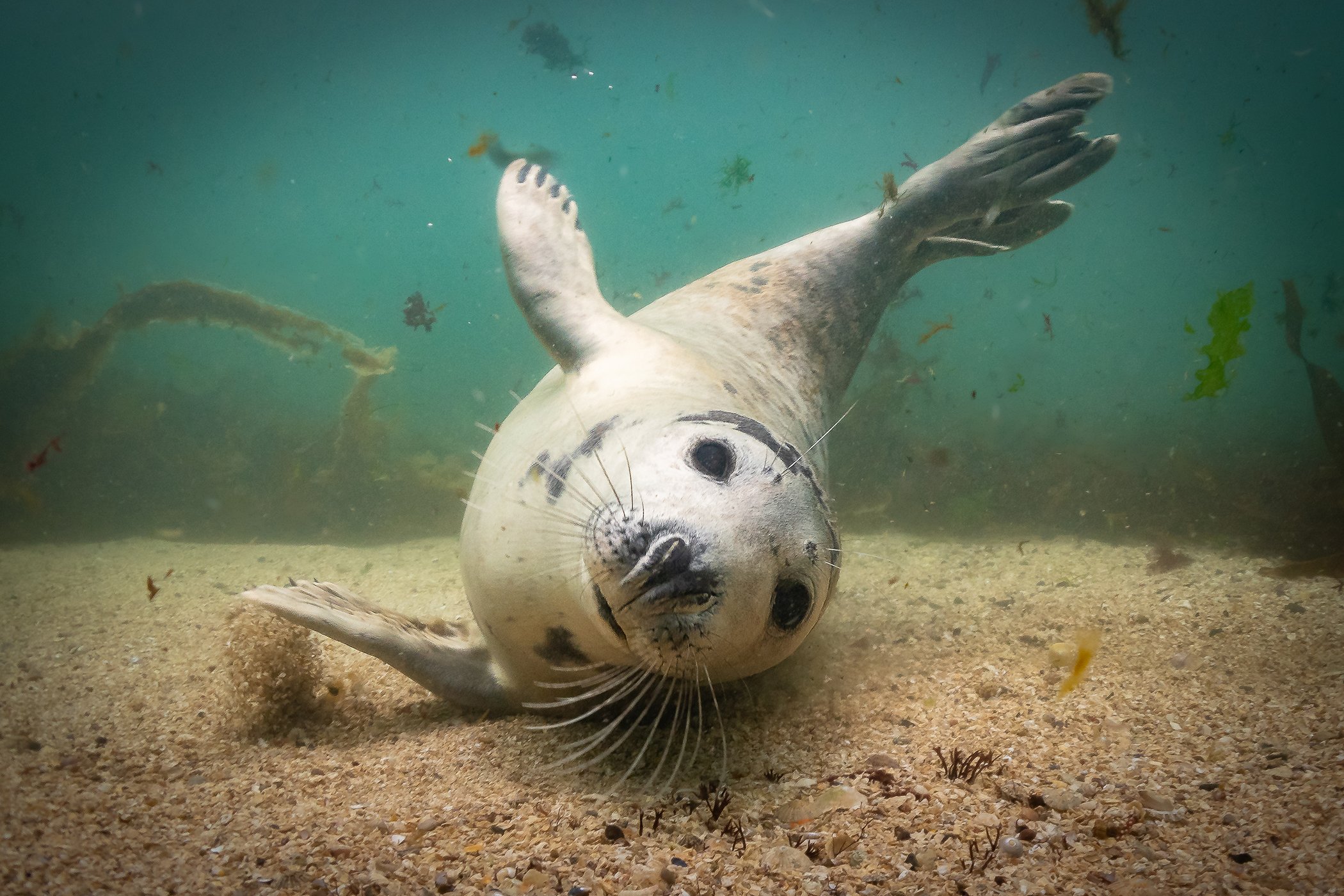 World Oceans Day: These Photos Show the Importance of Marine Conservation