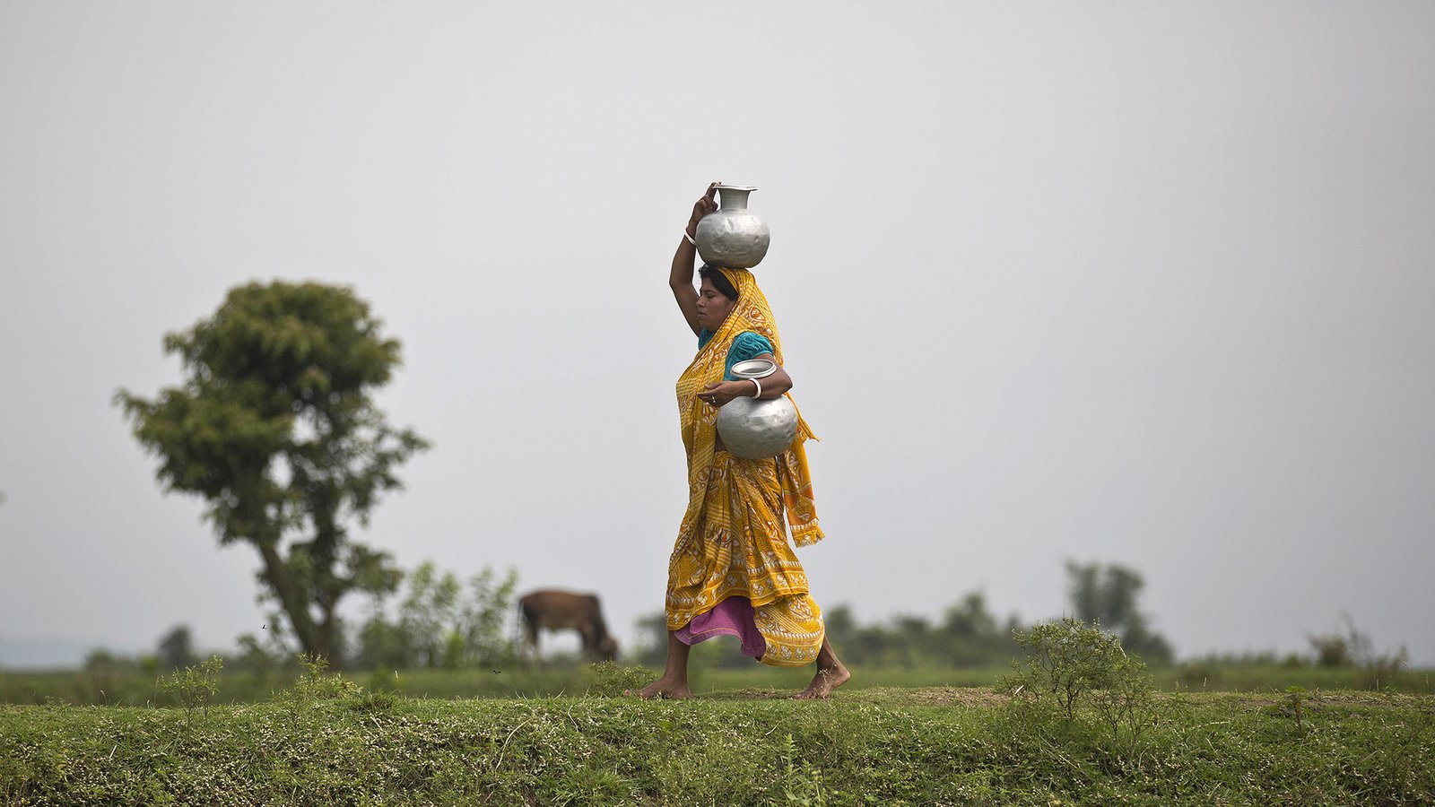 It Could Take Centuries Until Everyone Has Access to Clean Water, Aid ...