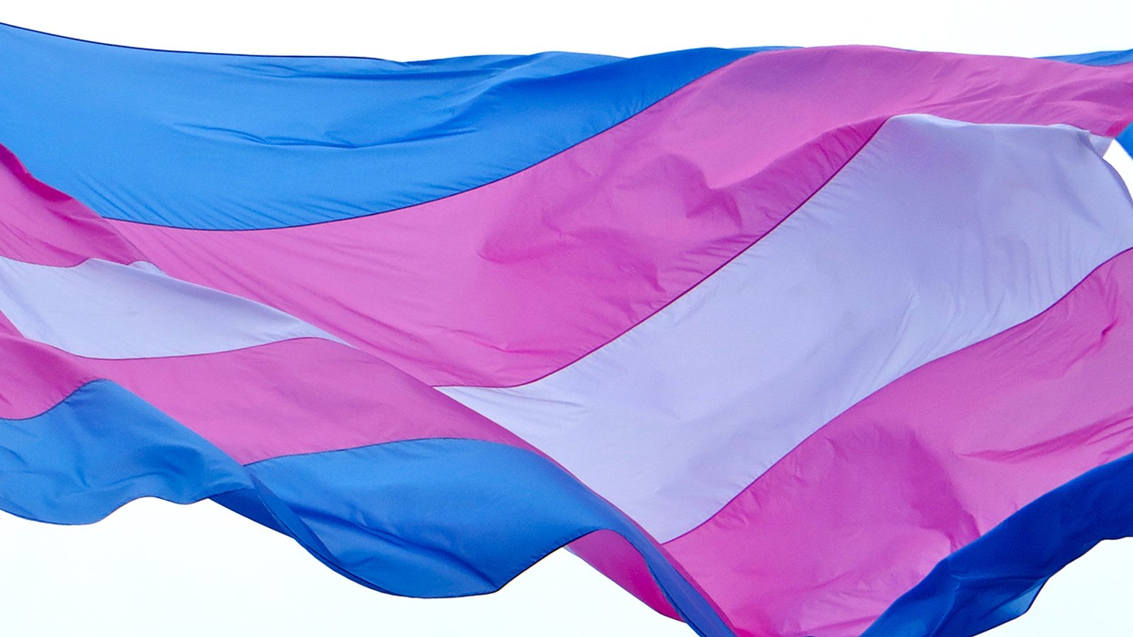 6 British Trans-Inclusive Feminist Art and Activist Groups You Should ...