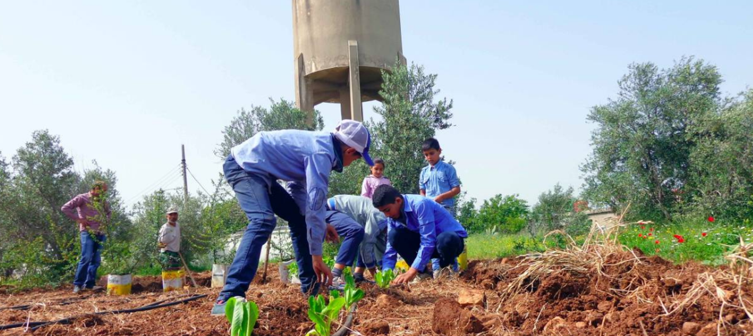 Syria's Food Production Hits 29-Year Low