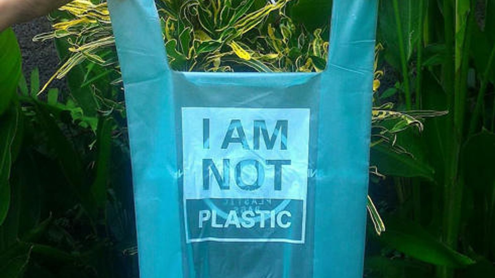 Avani Bioplastic “Eco Bags” Feed Animals, Doesn’t Hurt Them
