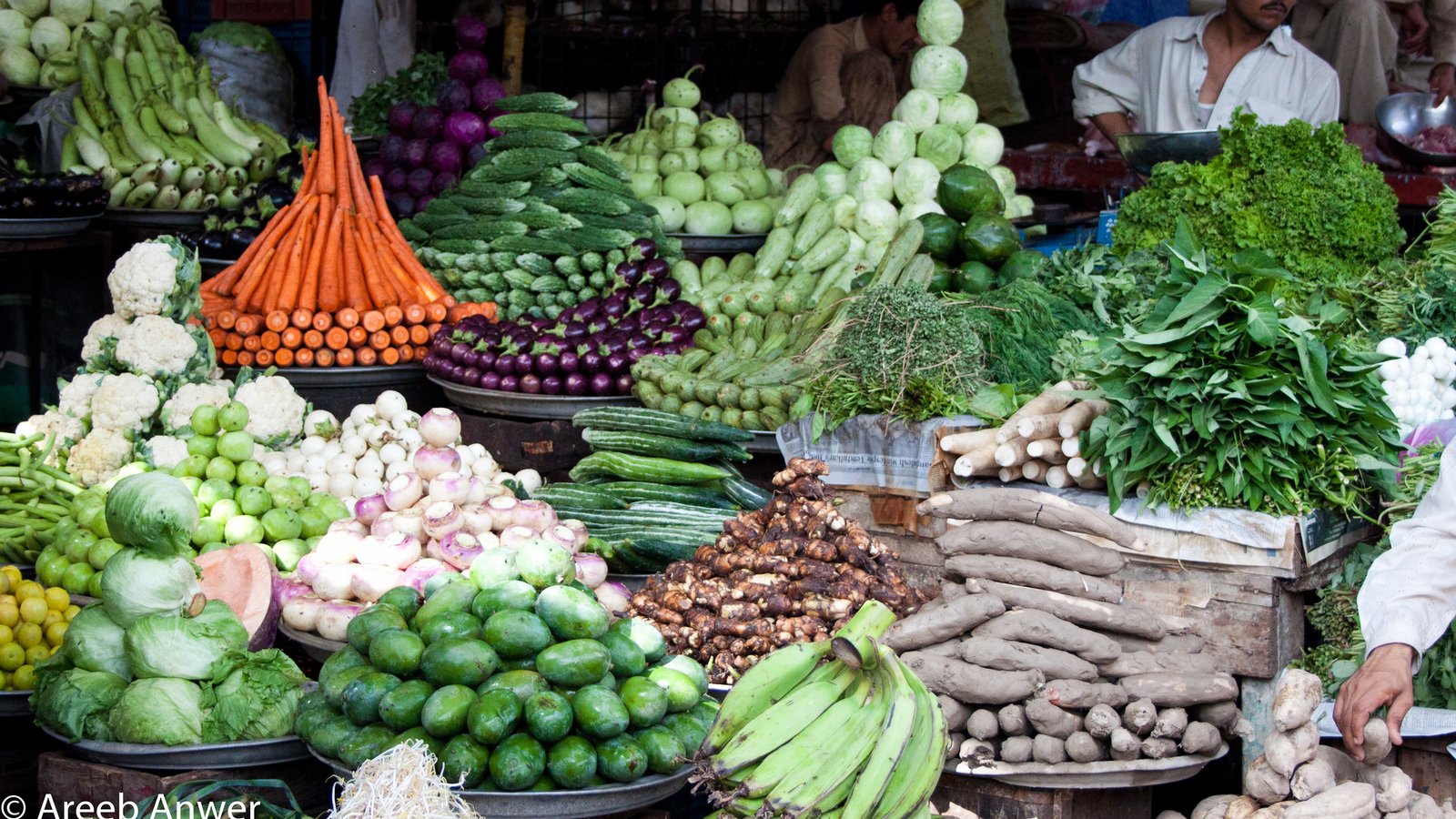 50 Foods That Are Good for You And Good for the Environment, Too