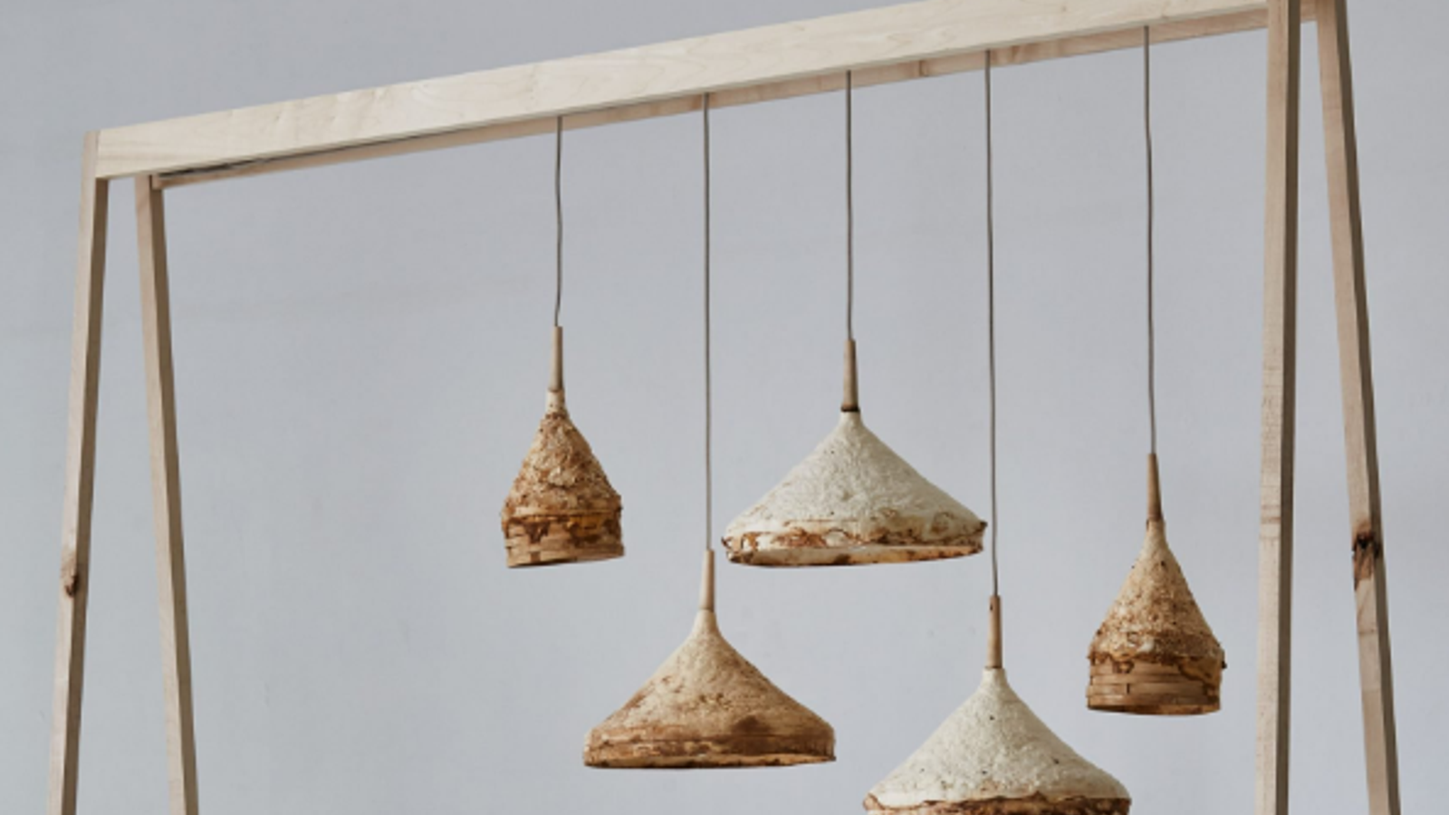 You Can Now Grow or Buy Eco-Friendly Furniture Made From Fungus