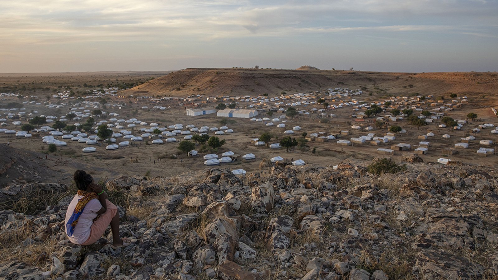 The War on Tigray Wiped Out Decades of Environmental Progress. How to ...