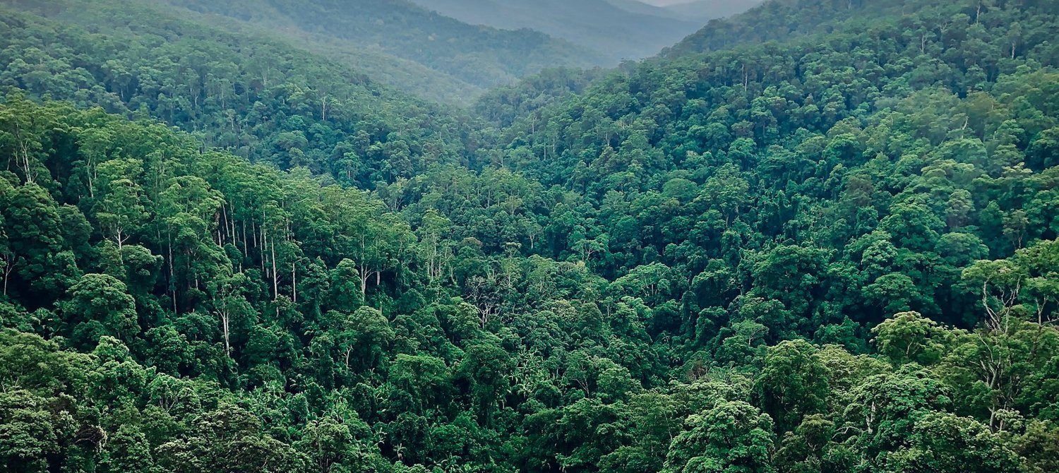 Cheer on Amazonia Forever Leadership