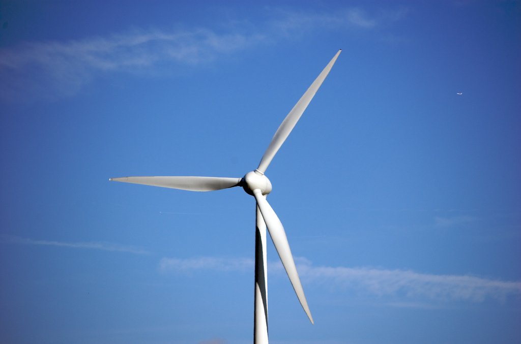 The 10 Best Ways to Combat Climate Change, According to Experts
