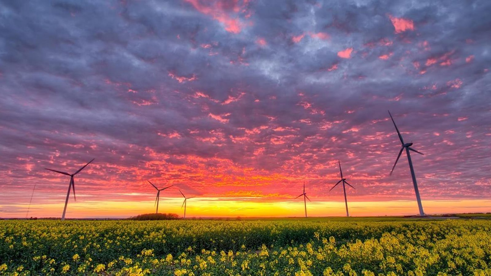 21 insane photos of the effects of climate change