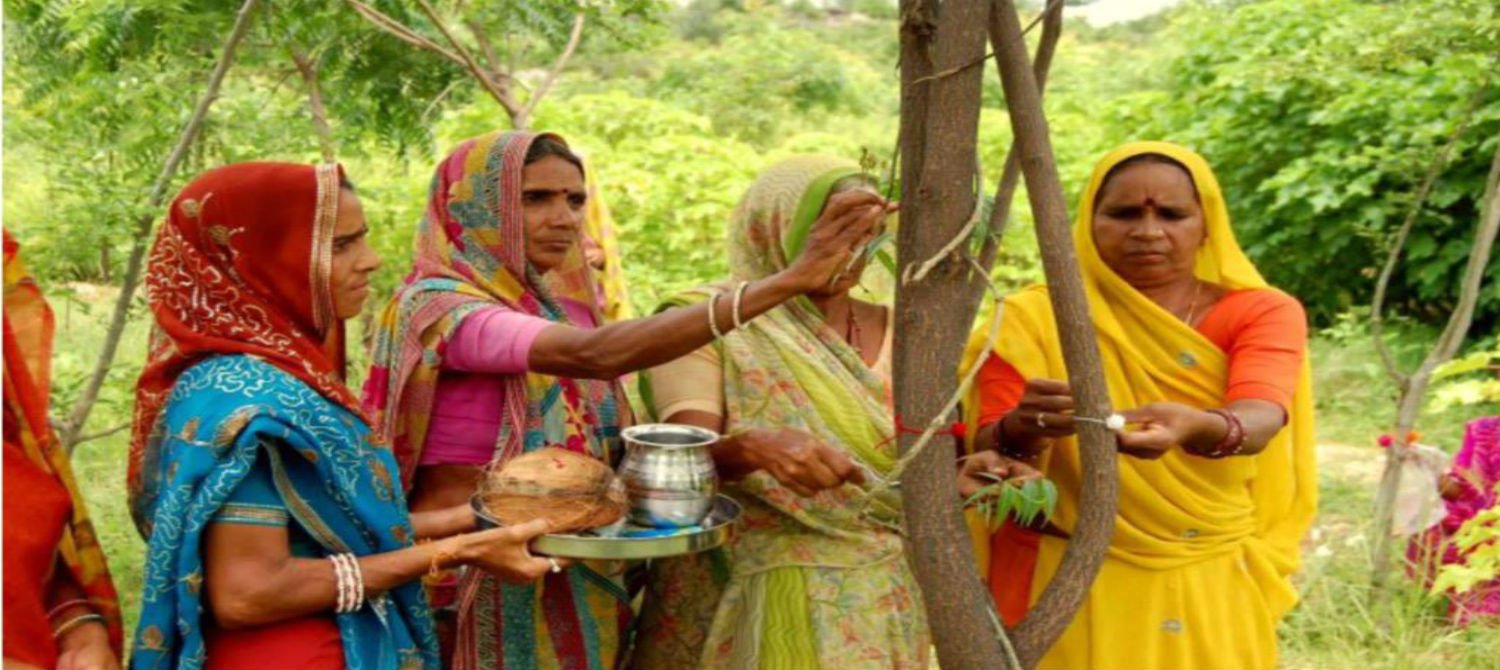 This Indian Village Plants 111 Trees Every Time a Girl Is Born