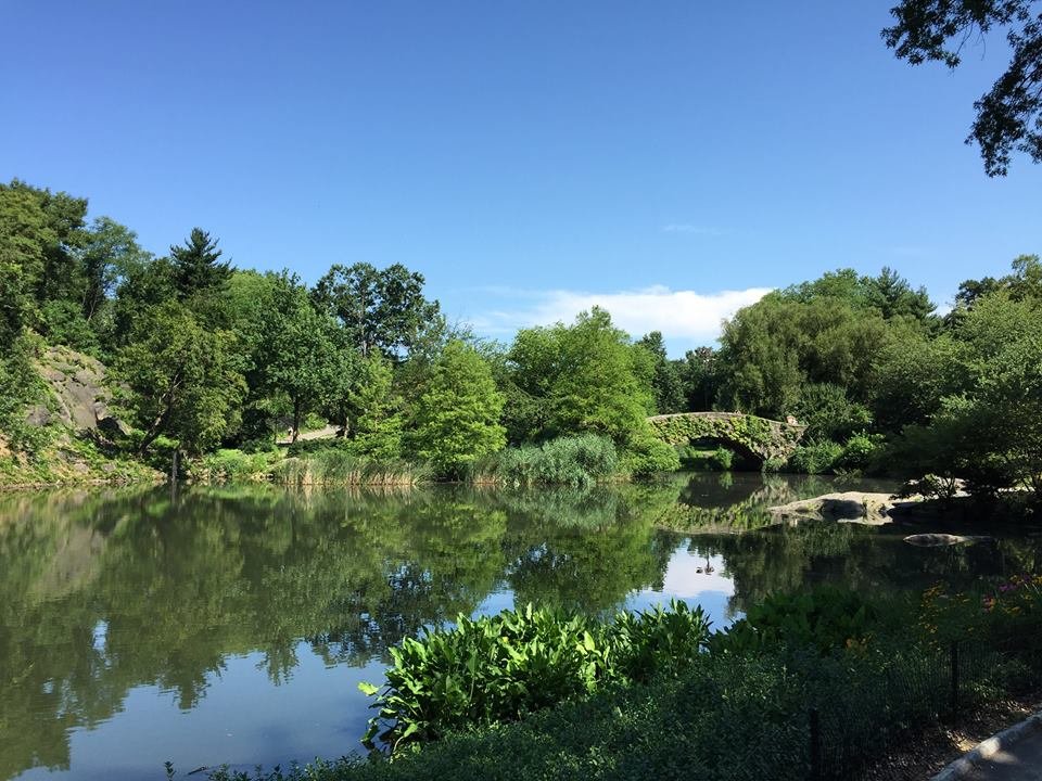 What Makes A Public Park Great? The Best Provide An Escape
