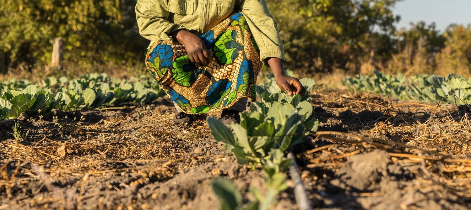 Young African Coders Use Apps and Sensors to Curb Hunger