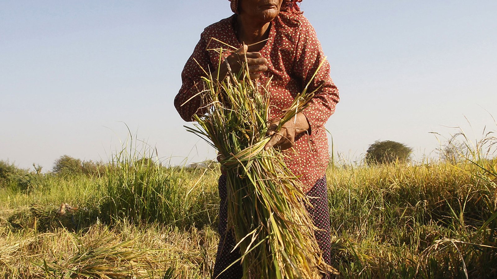 World Leaders and Global Citizens Champion Fund to Support Farmers and ...