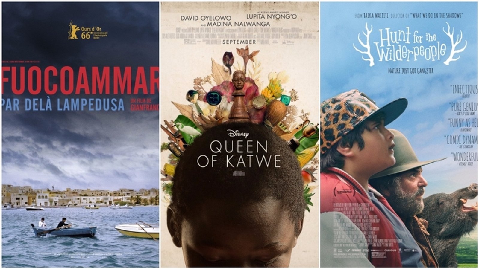 16 Films for Global Citizens in 2016