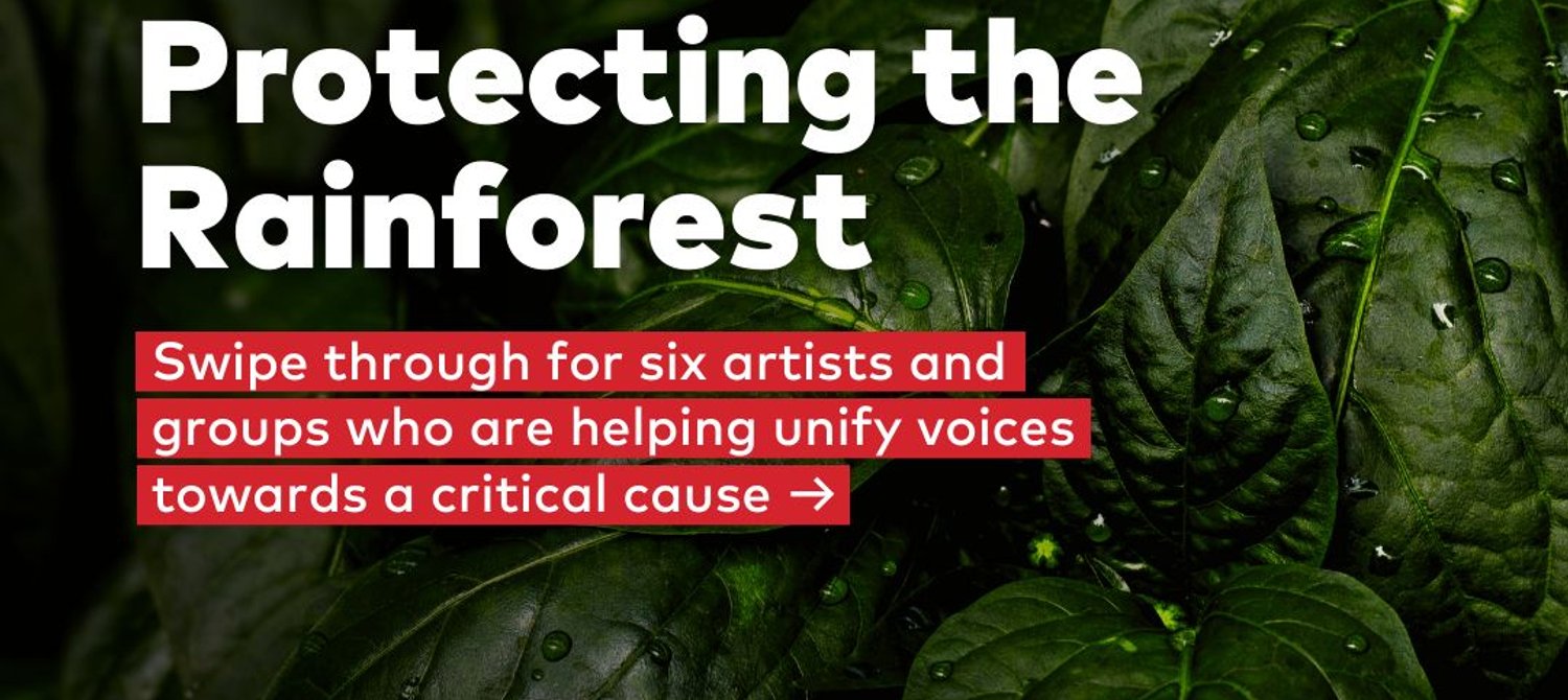 6 Musicians Who Are All About Protecting the Rainforest - Story ...