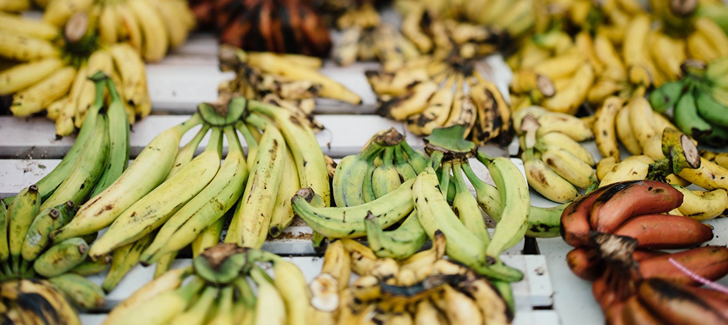8 Foods That Are Surprisingly Bad for the Environment