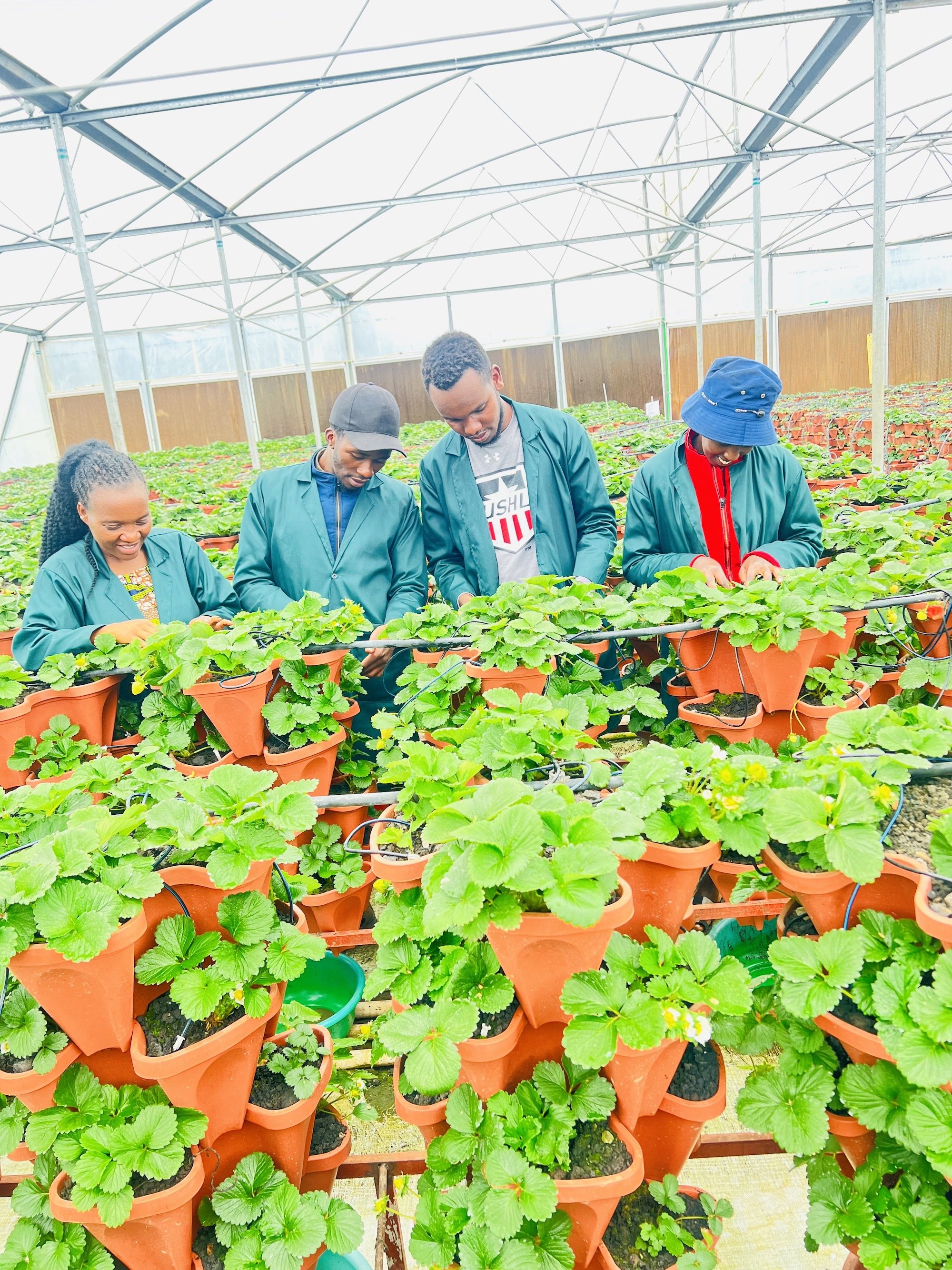 Rwandan Smallholder Farmers Are at Risk From Climate Change. This ...