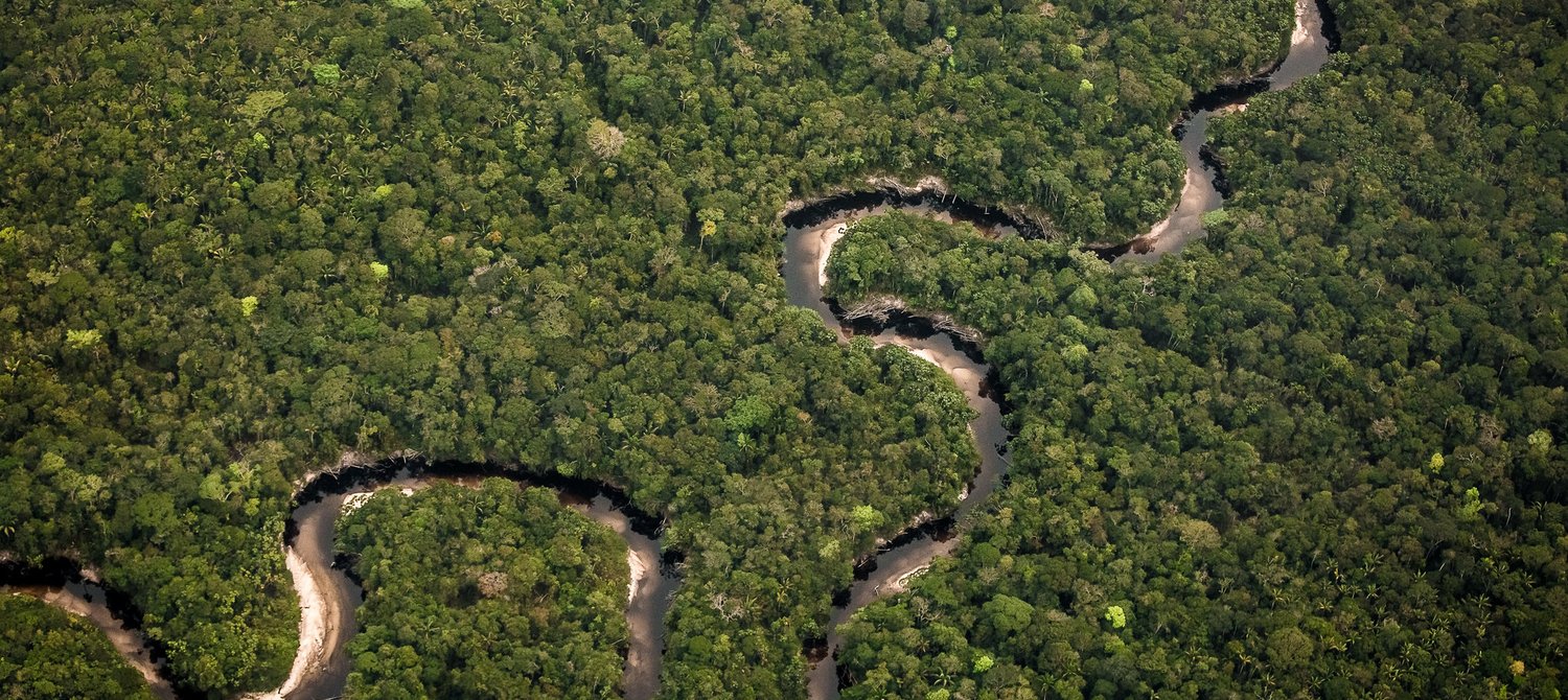 Indigenous Groups Call for Greater 'Biocultural Rights' Ahead of UN ...